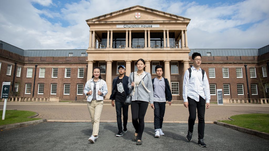 Support and Opportunities – Student Shout Out